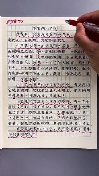小白兔作文图标
