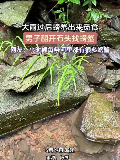 找螃蟹图标