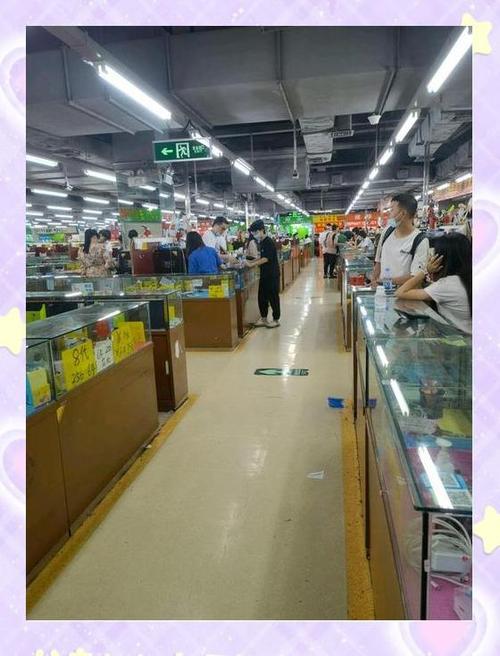 华强北手表市场在哪里游戏截图