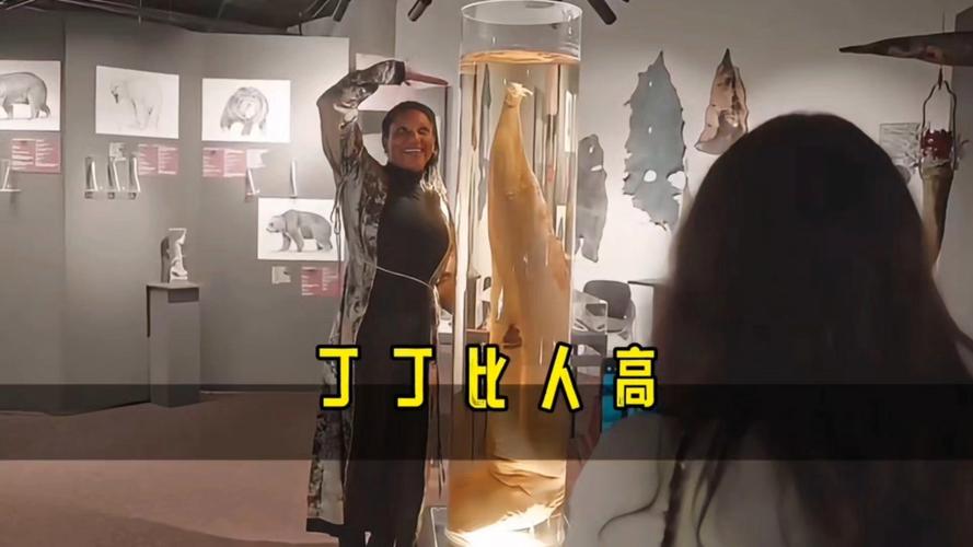 全世界丁丁最大的国家截图