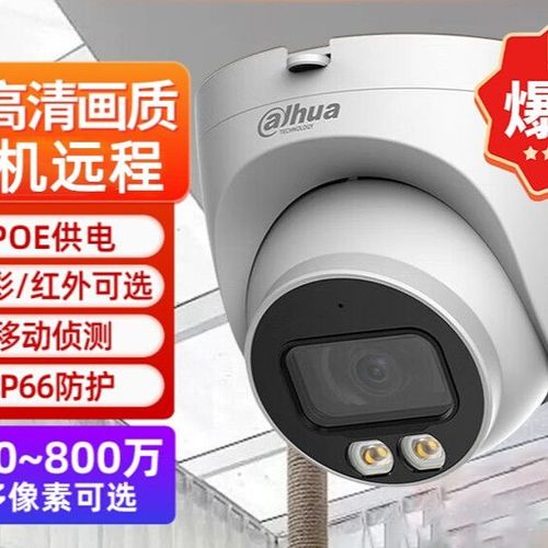 大华摄像机远程监控截图