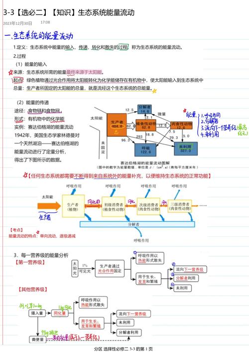 能量流动的特点图标