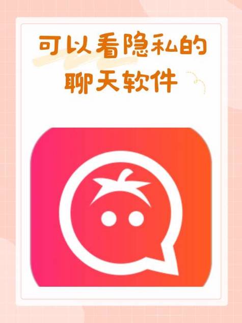 纸飞机聊天软件叫什么