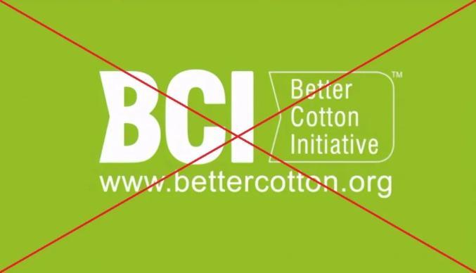 bci组织