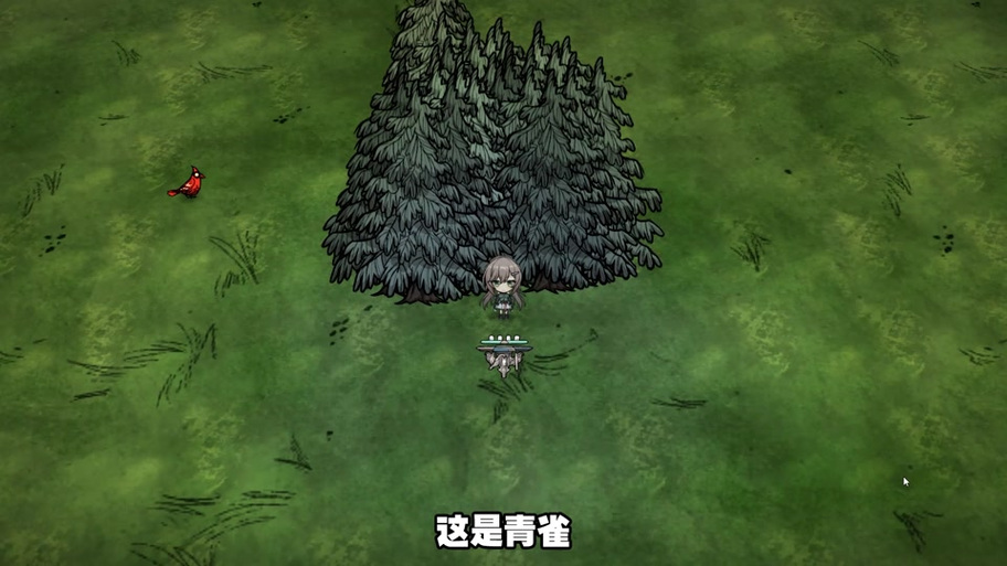 饥荒进不了朋友的服务器截图