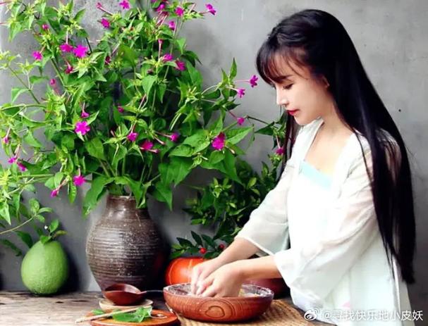 寻找李子柒的48个小时图标