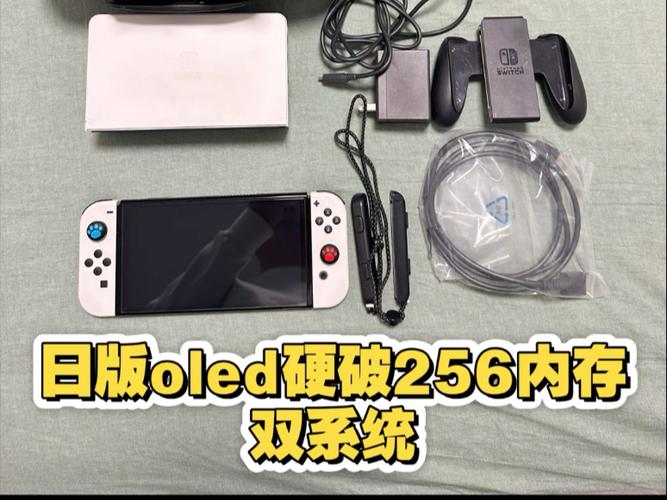 switch 内存截图