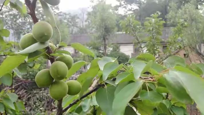 怎么找游戏存档位置图标
