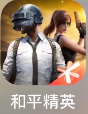 地球人刺激战场国际服下载图标