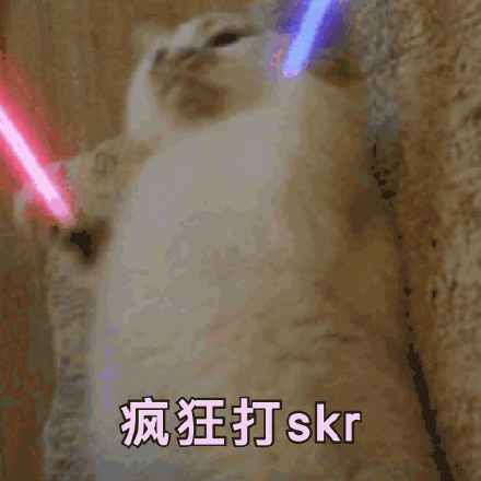猫咪打call表情包图标