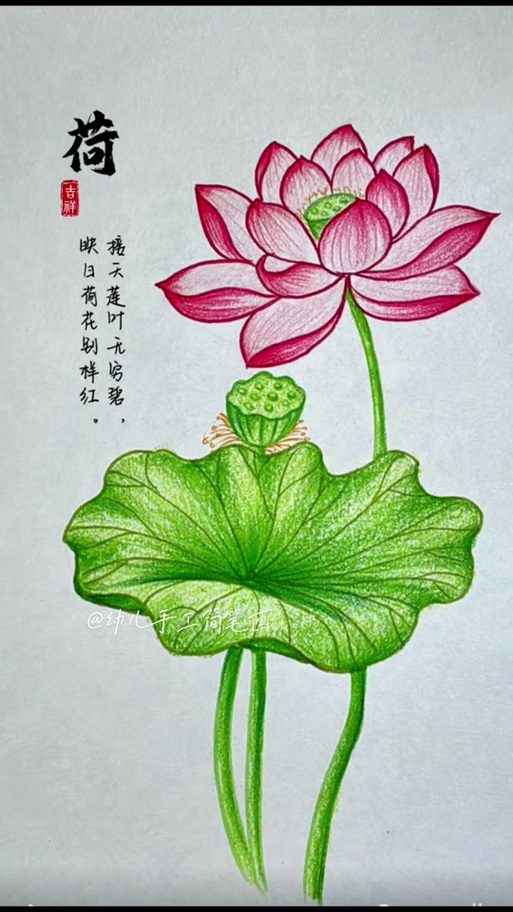 荷花简笔画100张图标