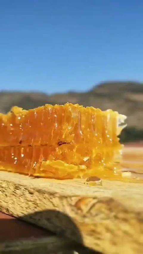 蜂蜜视频图标
