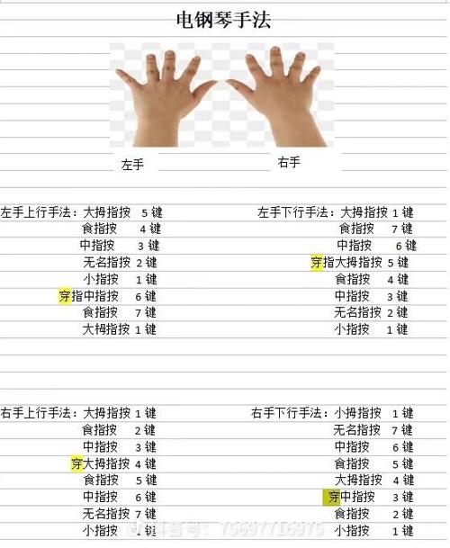 电子琴指法入门自学教程截图