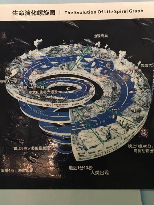 光环之后在哪里能看到截图