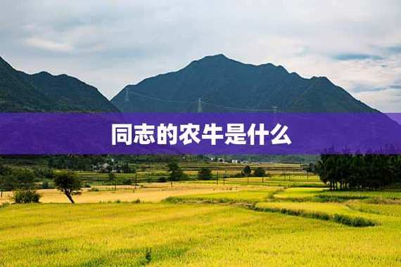 同志里面农和牛指什么图标