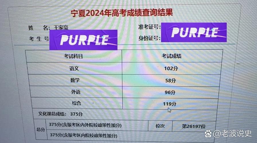 宁夏考试成绩查询入口图标