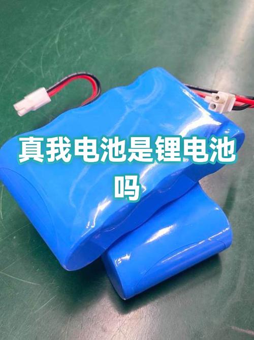 怎么保养真我手机电池才耐用图标