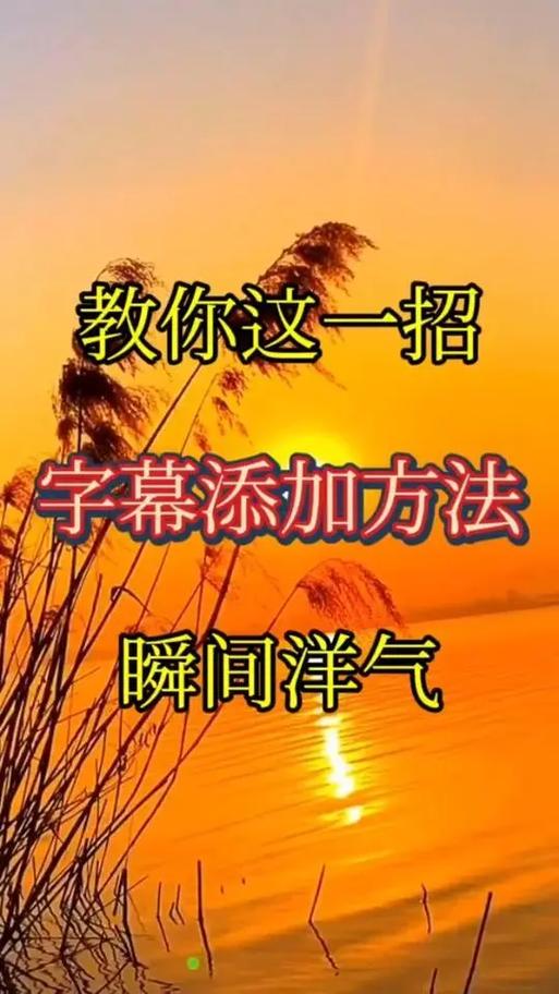 怎样在视频上添加文字免费的图标
