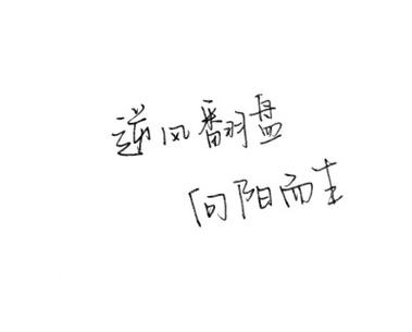 《逆风翻盘》全集观看图标