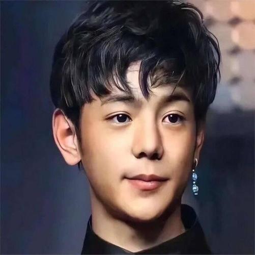 丁真个人简介图标