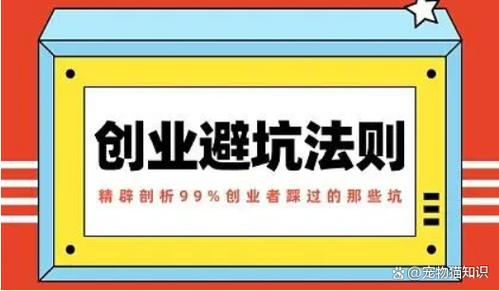 怎样才能赚到钱