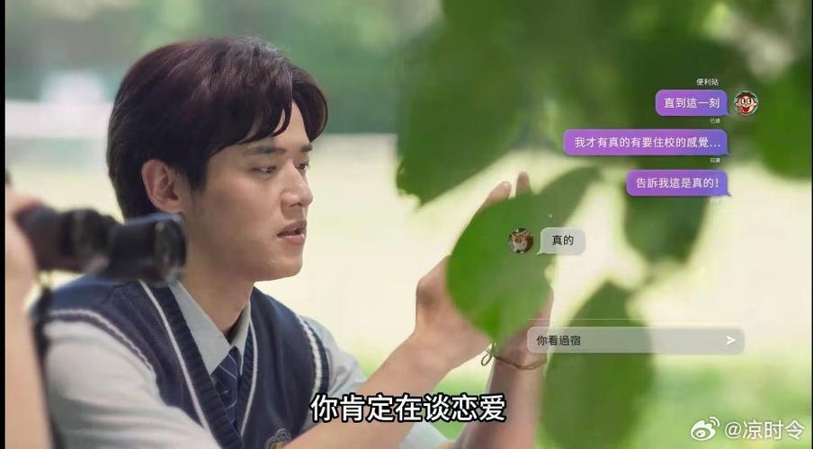 度娘电视剧全部免费观看截图