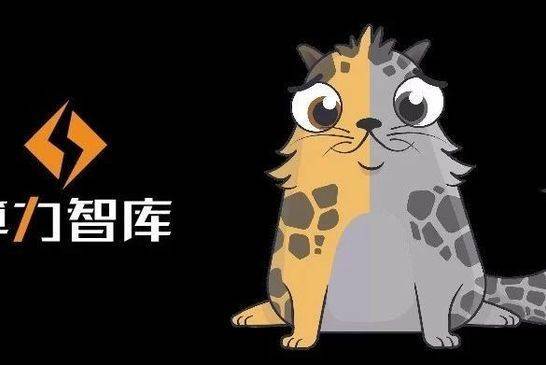 加密猫区块链下载
