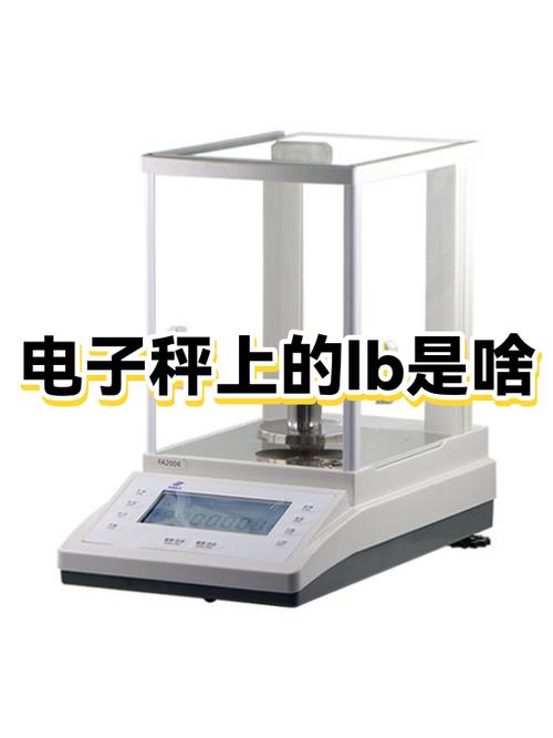 电子秤显示lb什么意思图标