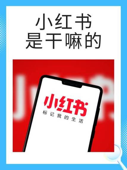 小红书@生活薯有什么用截图