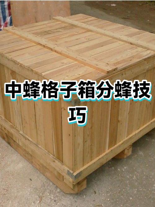 中蜂格子箱养蜂技术图标