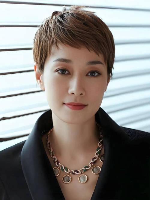 普通人进入娱乐圈图标