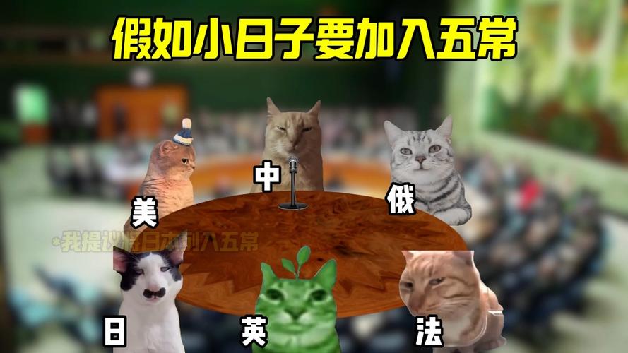 加入五常需要完成的任务截图