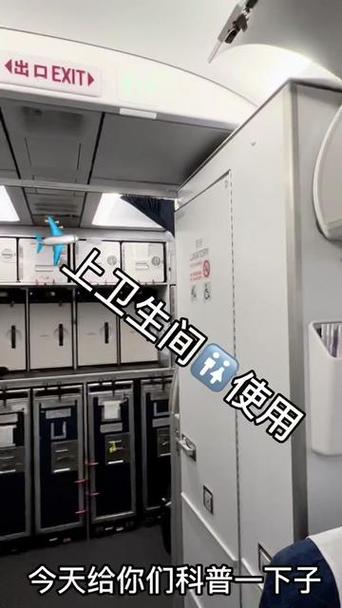 飞机卫生间位置示意图截图