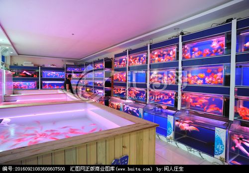 附近卖观赏鱼的水族馆图标