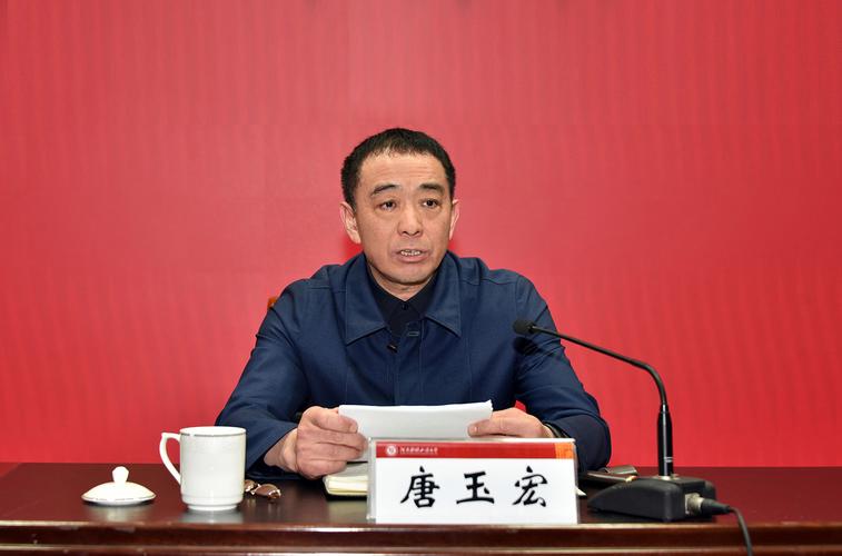唐玉宏河南省巡视组截图