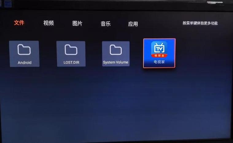 电视怎么安装极光TV图标