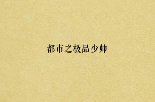 极品少帅小说截图