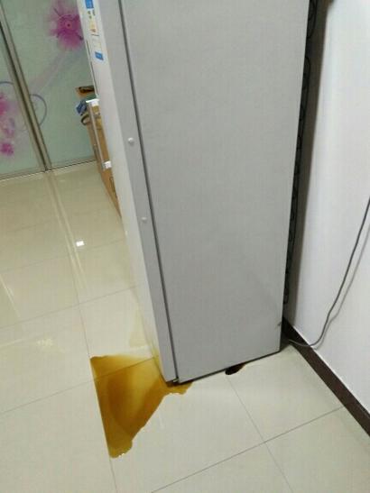 手机掉水里放冰箱有用吗