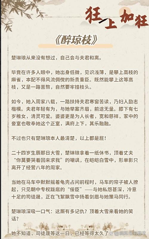 狂上加狂娇藏