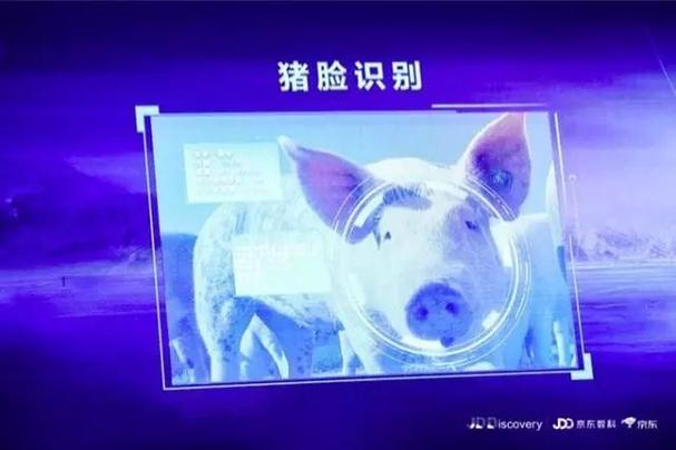 京东养猪怎么加盟图标
