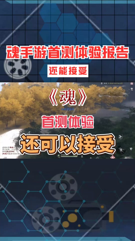 黑魂二适应力加到多少点图标
