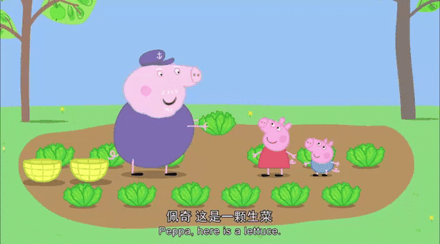 猪爷爷的菜园图标