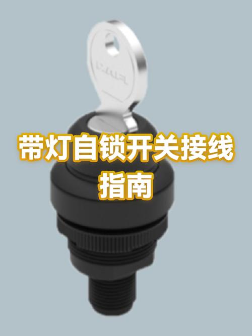 带灯按钮开关接法截图