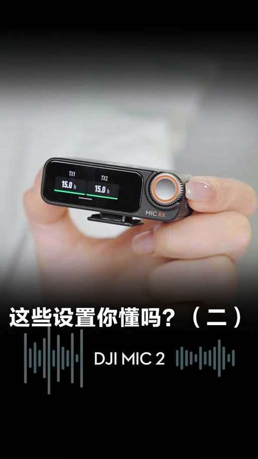 大疆可以录音吗截图