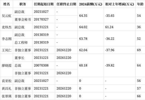 副总裁年薪一般多少图标