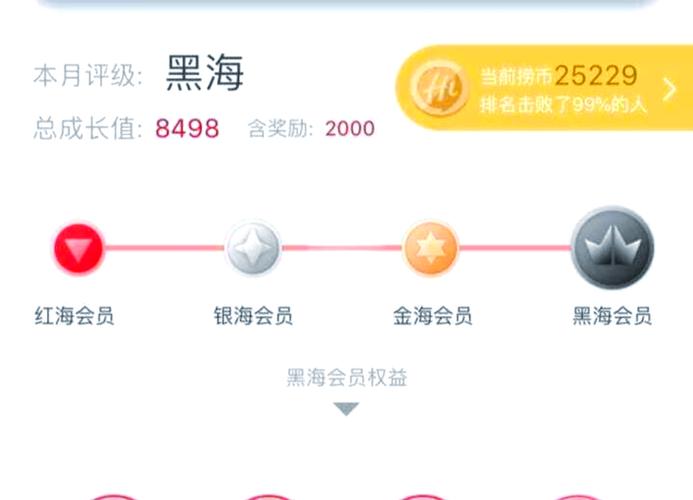 海底捞会员制度图标
