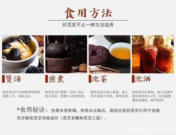 野生灵芝怎么服用效果最好截图