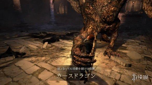 switch 龙之信条截图