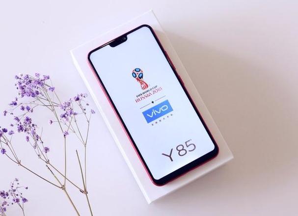 vivoy85可以双卡双待吗截图