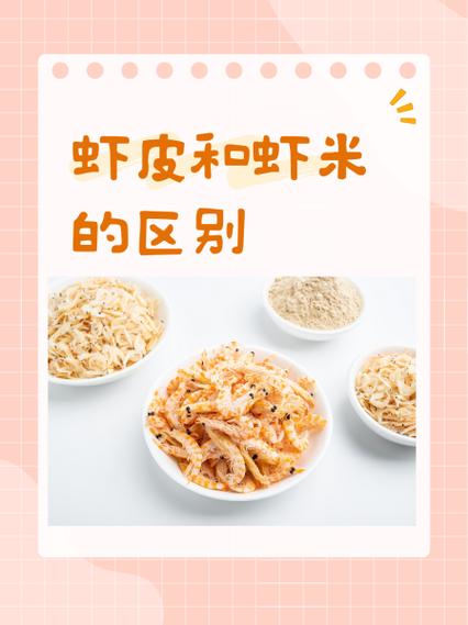 虾米全本TXT电子书图标